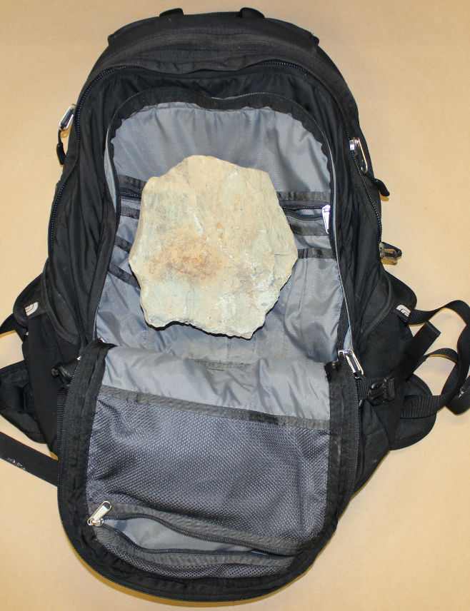 backpack and rock – Bellevue Beat Blog